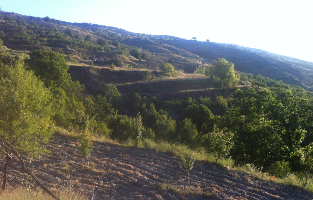 Spain, Beautiful Traditional-style Farmhouse With Breathtaking Views ...